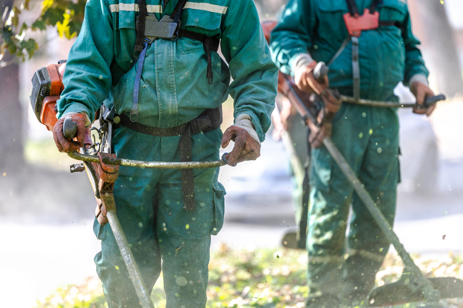 Landscape Crew Management: How to Oversee Teams in the Field