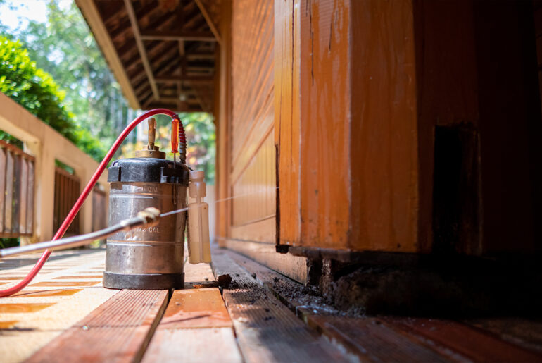 What Are The 3 Methods of Pest Control? | WorkWave